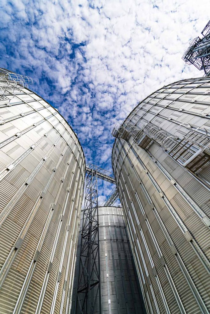 Pakistan Rice Supplier - Rice Pakistan